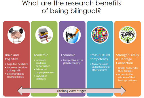Curriculum & Instruction / Bilingual Department